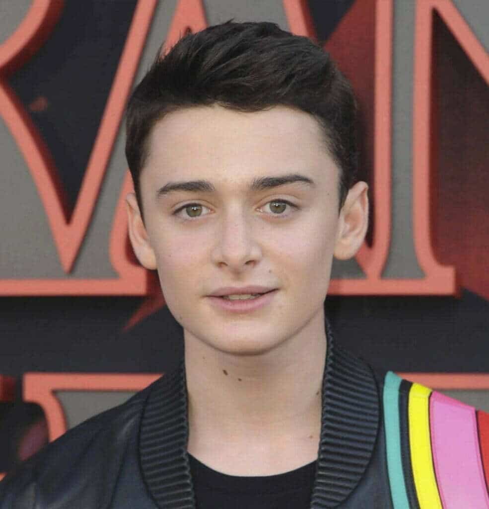 Noah Schnapp Biography, Wiki, Age, Net Worth, Family, Videos, Photos ...