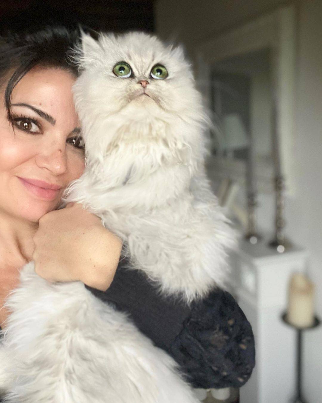 Laura Torrisi Biography, Alluring TV Personality, Model, Age, Pictures ...