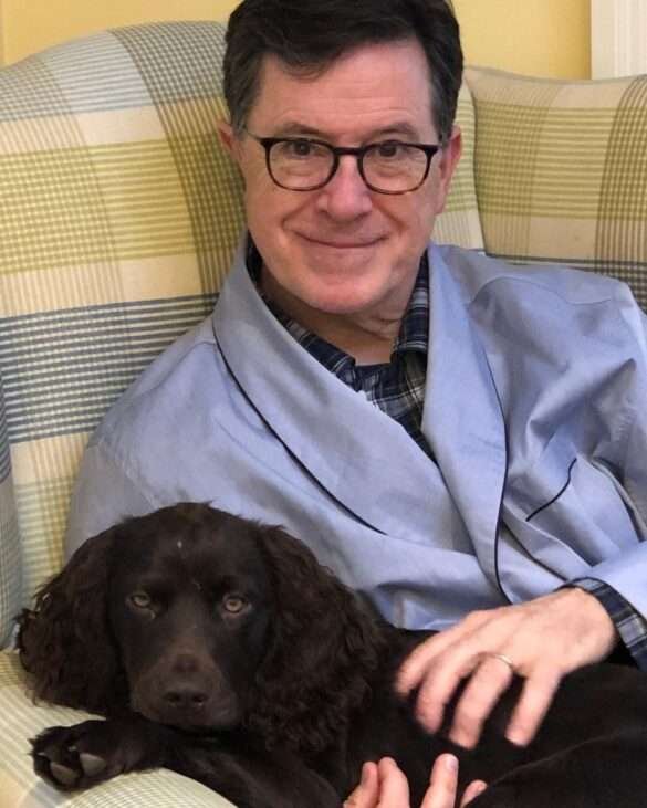 Stephen Colbert Wiki, Age, Biography, Comedian, American Anchor, Host ...