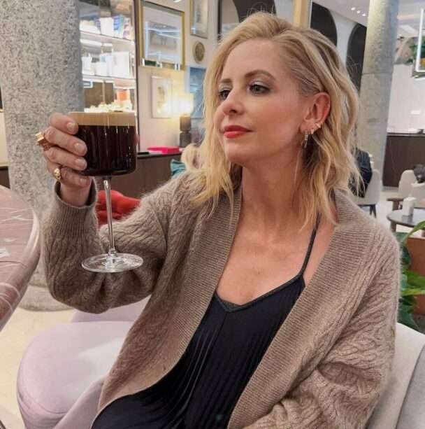 Who Is Sarah Michelle Geller? Movies, Net Worth, Age, Height, Weight ...